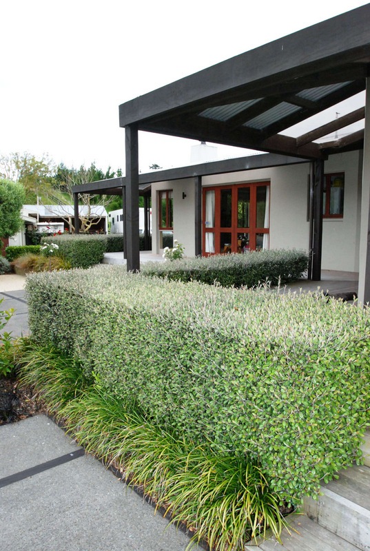 Waikanae - Earthwork Landscape Architects