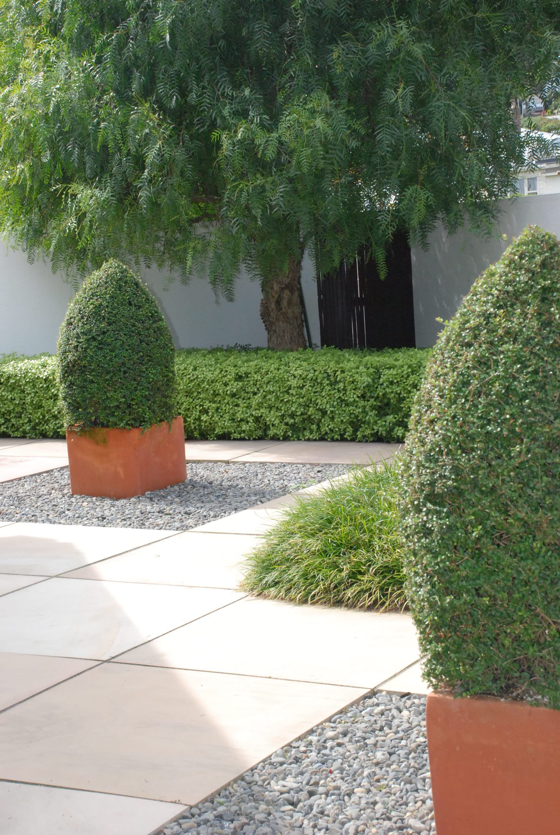 Clean and Green - Earthwork Landscape Architects